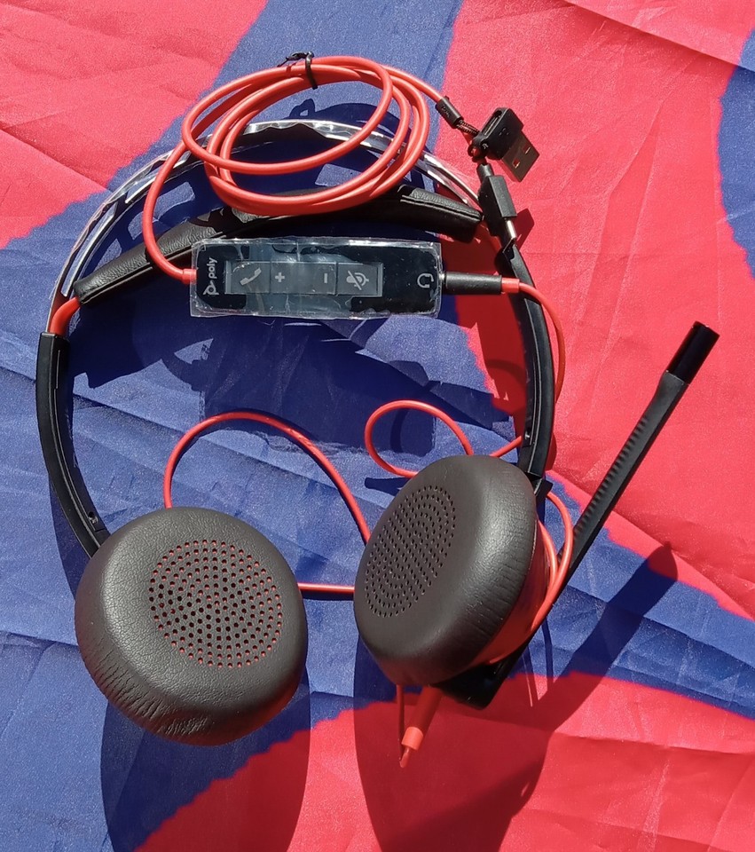 Plantronics Poly Blackwire 5200 Series C5220 USB C Stereo Headset with ...