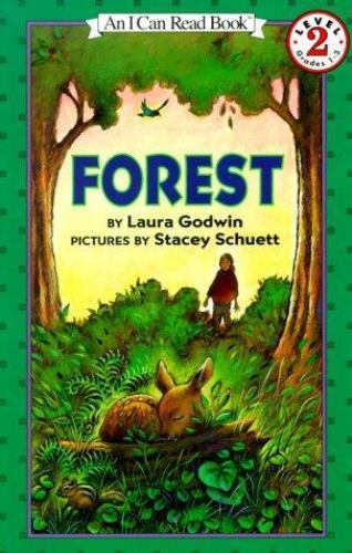 Forest by Laura Godwin (2000, Trade Paperback) for sale online | eBay UK