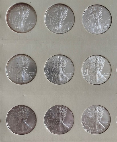 2010 - 2020 American 1 Ounce Silver Eagles 21 Select Coin Set in ...