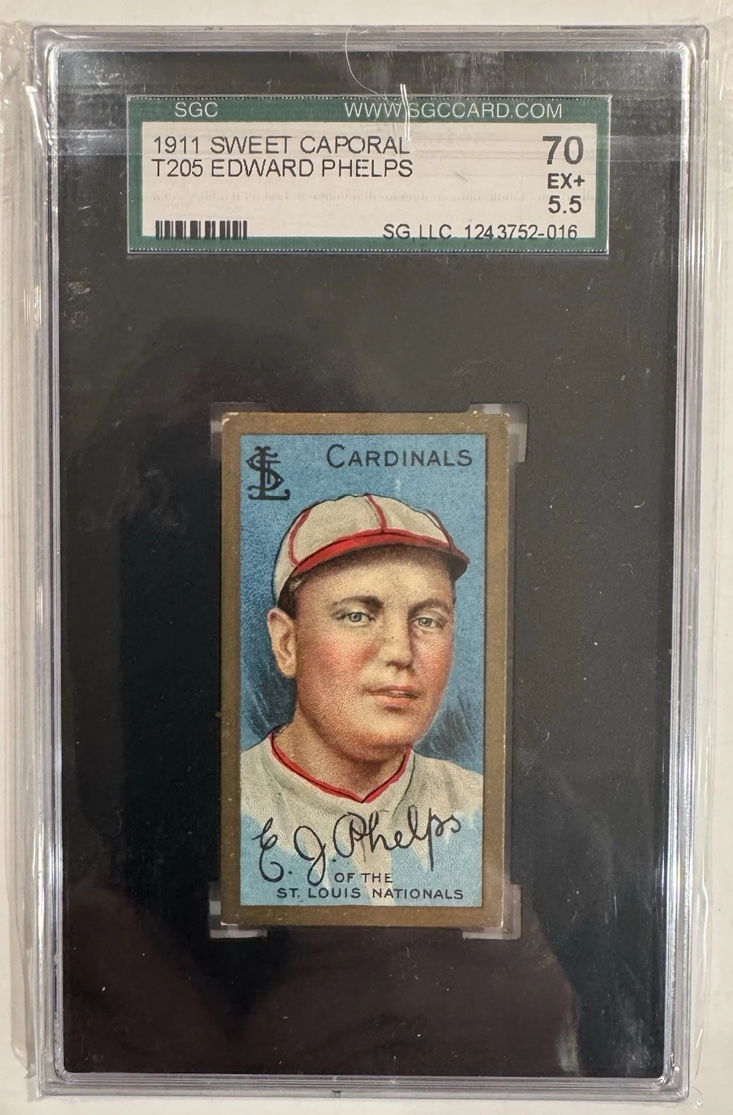 1911 Sweet Caporal T205 Edward Phelps St. Louis SGC 5.5🤩🤩🤩🤩🤩 | eBay