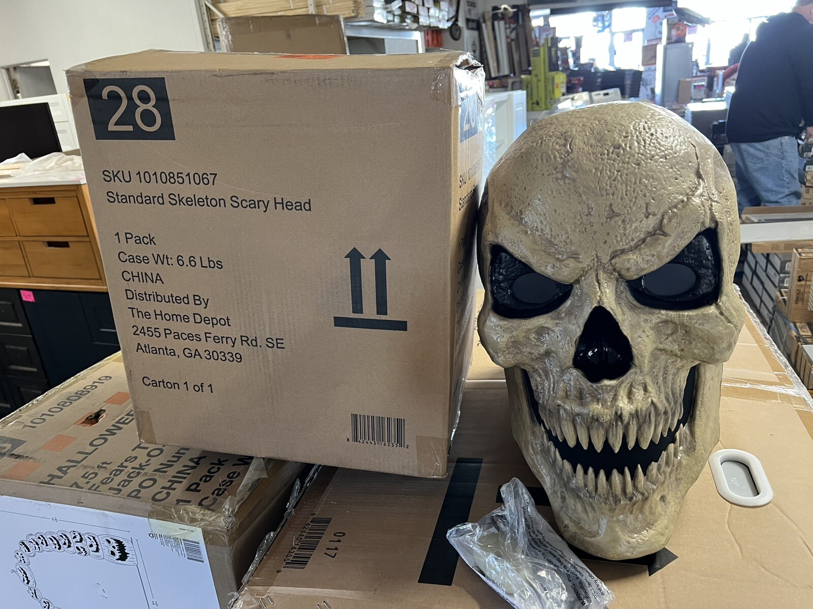 Standard Skeleton Scary Head For Skully 1010851067 | eBay