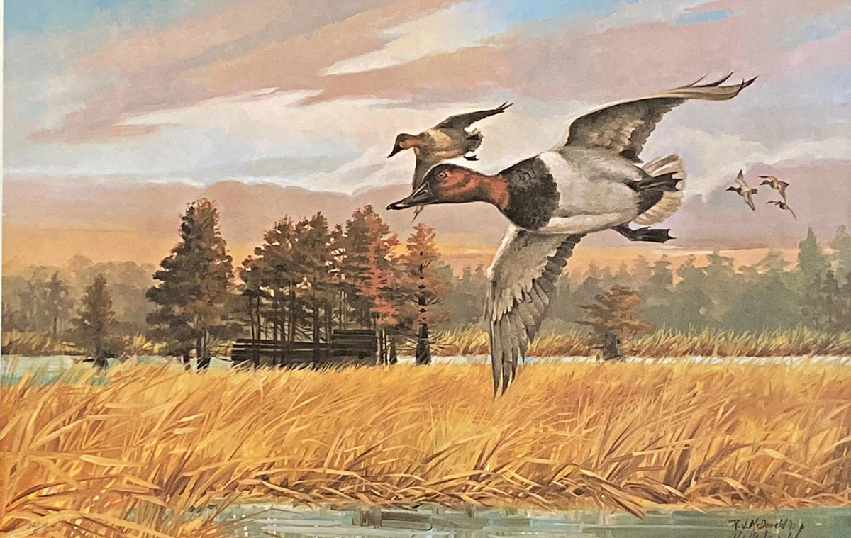 Duck Hunting Art