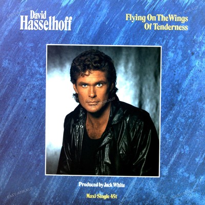 David Hasselhoff - Flying On The Wings Of Tenderness Maxi (VG+/VG+ ...