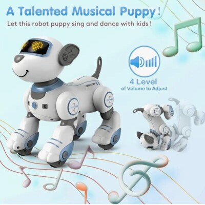 Remote Control Robot Dog Toy for Kids - Interactive Touch & Follow 17 ...