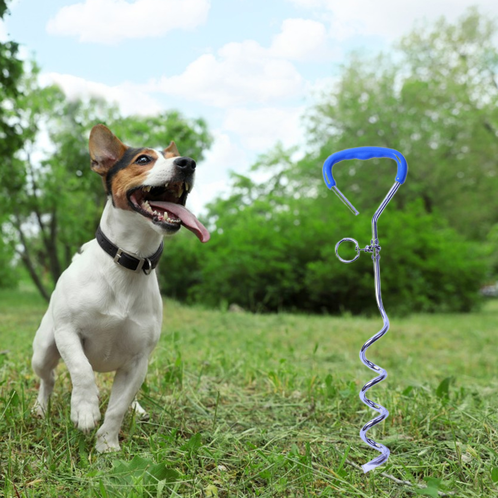 Puppy Spike Comfortable Grip Escape Proof Medium-large Dogs Spiral ...