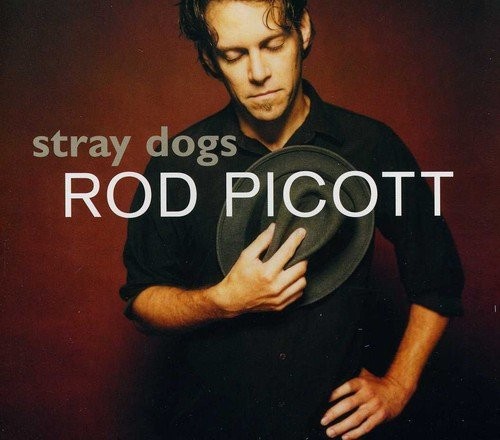 ROD PICOTT - Stray Dogs - CD - Import - **Mint Condition** 659057316727 ...