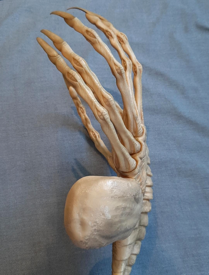 Halcyon Alien Face hugger 1/1 Scale P.V.C. Model Kit - Assembled ...