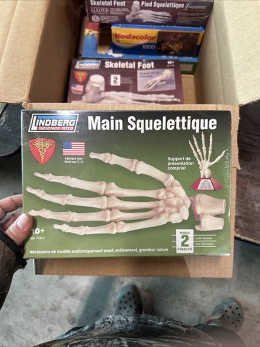 ZM71313 - HUMAN SKELETAL HAND MODEL KIT LINDBERG UNASSEMBLED LIFE SIZE ...