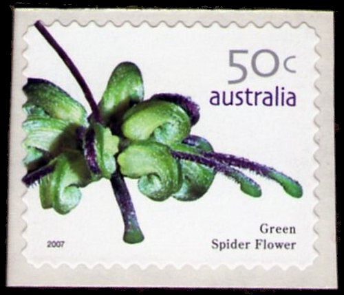 Australia 2007 50c Green Spider Flower Adhesive MNH - SG 2764 | eBay