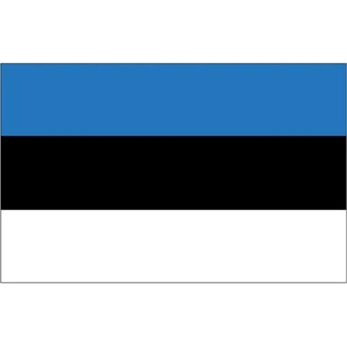 Annin Flagmakers 221343 3 ft. x 5 ft. Nyl-Glo Estonia Flag | eBay