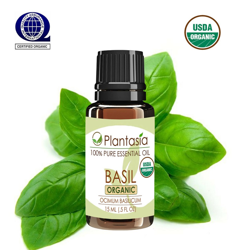 Basil Organic Essential Oil 100% Pure and Natural Therapeutic India by ...