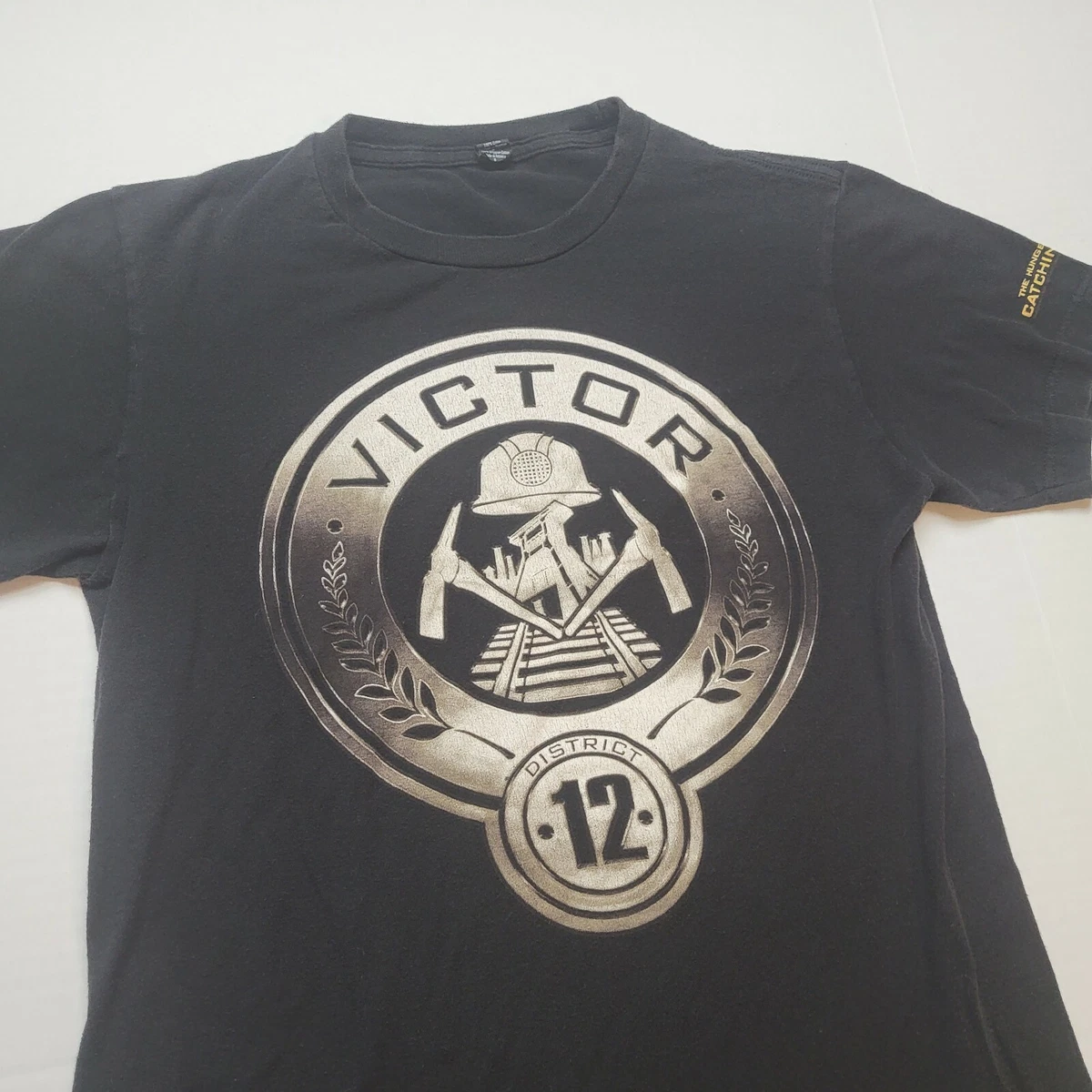 Catching Fire District 12 Gone