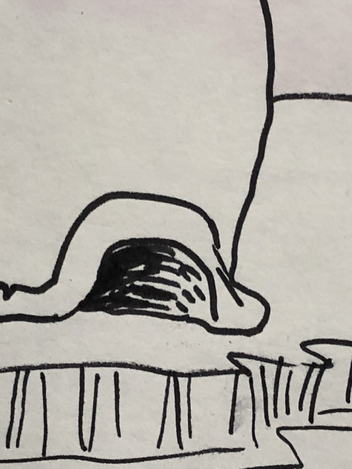 Animal Crackers Comic Strip By Rog Bollen Daily Original Strip ...