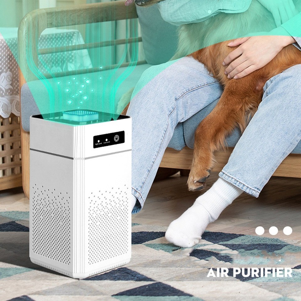 Portable Ionizer Negative Ion Generator Smoke Odor Removal Hepa Car ...