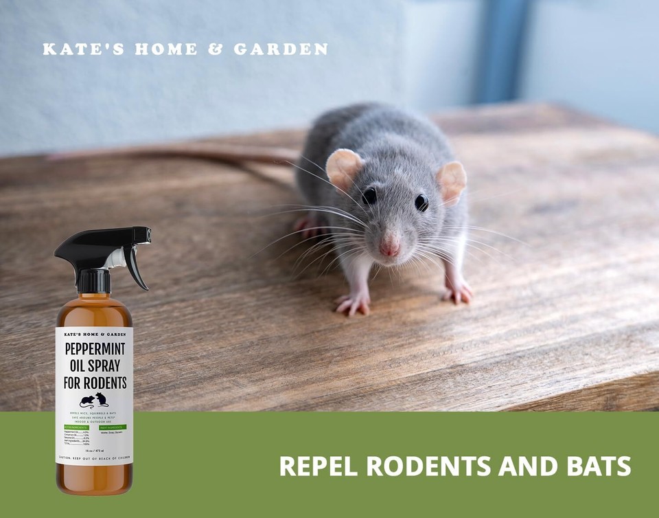 Peppermint Oil Spray, for Rodents Mice Raccoon Bat and, Squirrels ...