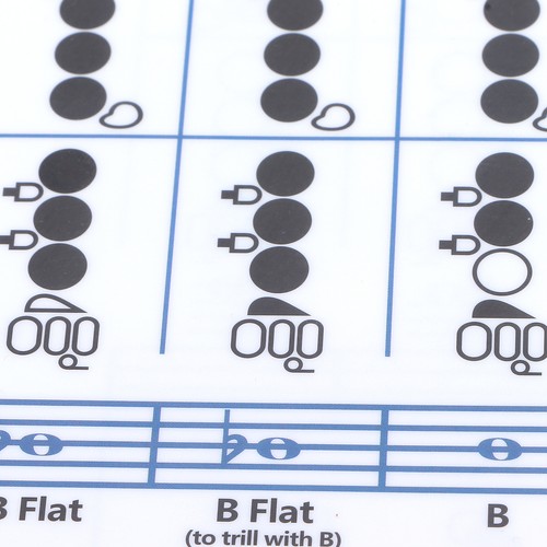 Flute Fingering Chord Chart Beginner Student Practice Teaching Aids ...