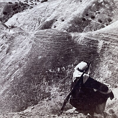 Antique 1899 Palestinian Marksman Warrior With Rifle Stereoview Photo ...