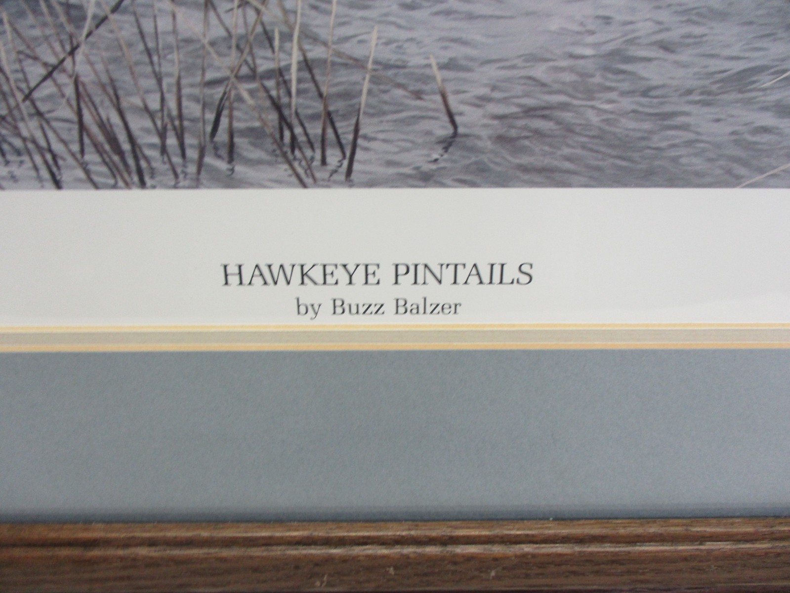 Vintage 1985 HAWKEYE PINTAILS DUCKS Framed Print Signed by Buzz Balzer ...