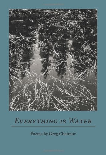 Everything is Water - paperback Greg Chaimov 9780942382136| eBay