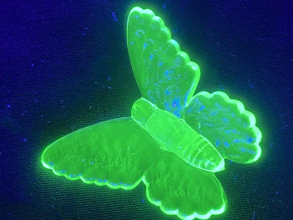 Green Vaseline glass butterfly insect monarch glow moth animal uranium ...