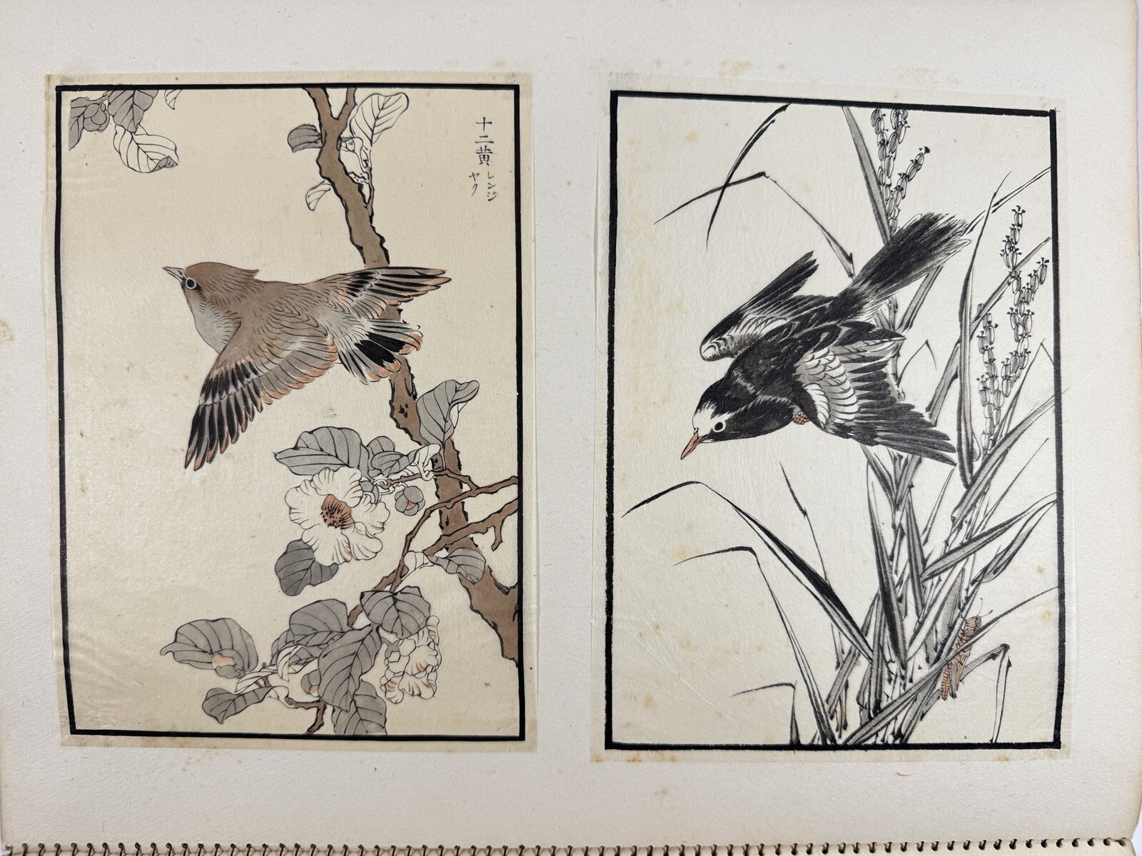 Japanese Drawing Book “Kachoshu” Picture of birds and flowers 49 ...