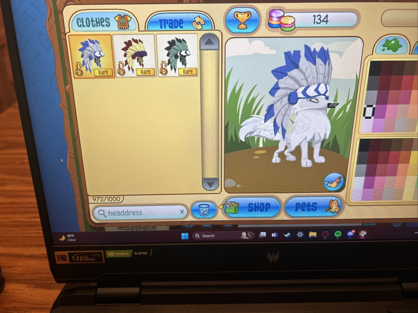 Animal Jam Classic — Headdress 🤩 (READ DESCRIPTION BEFORE PURCHASING ...