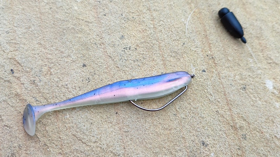 Phoxinus EWG Offset Worm Hooks - Weedless Fishing Hooks - Wrasse, Perch ...