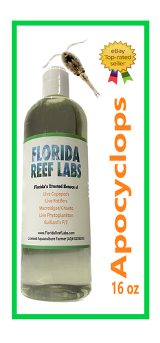LIVE Copepods Apocyclops (aka Apex/Apocalypse) - 16oz - Florida Reef ...