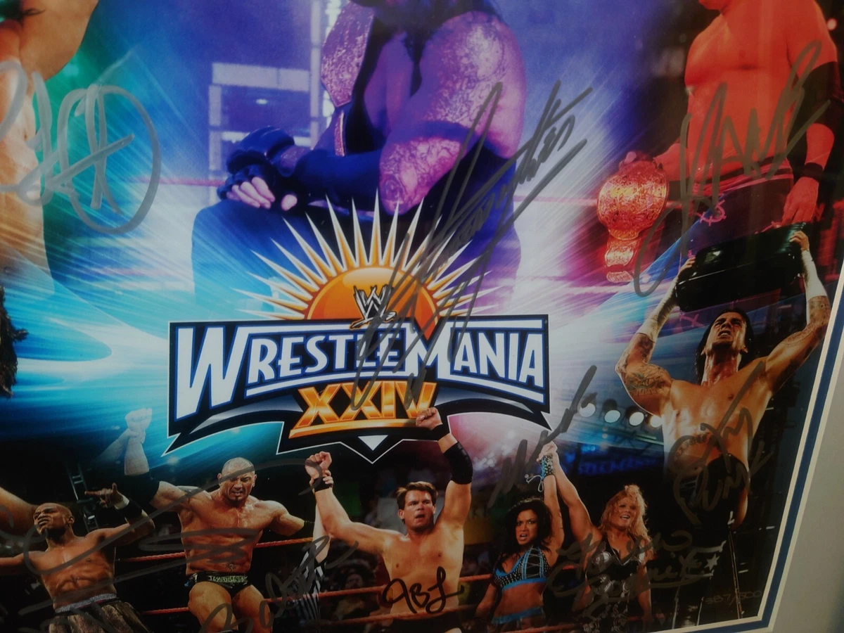 Wrestlemania 24 Logo