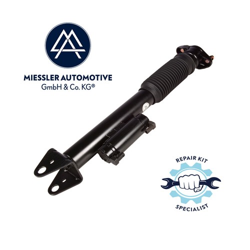 Mercedes ML/GLE 450 Sport AMG Shock absorber suspension (2923200600 ...