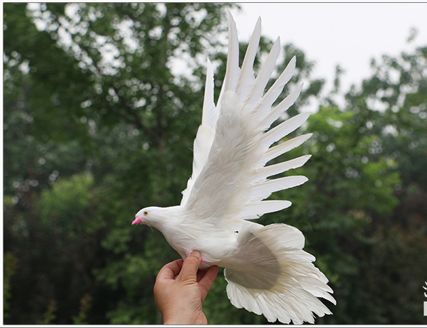 new real life wings dove model foam&feather simulation bird gift about ...