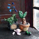 SET Miniature plants dollhouse Witch miniatures Apothecary wizard ...