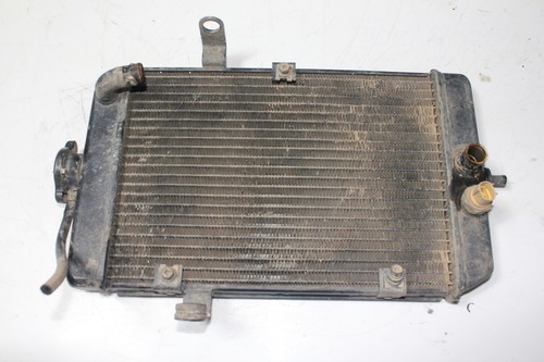 2001-2005 Yamaha Raptor 660r 660 Cooling Radiator Rad OEM | eBay