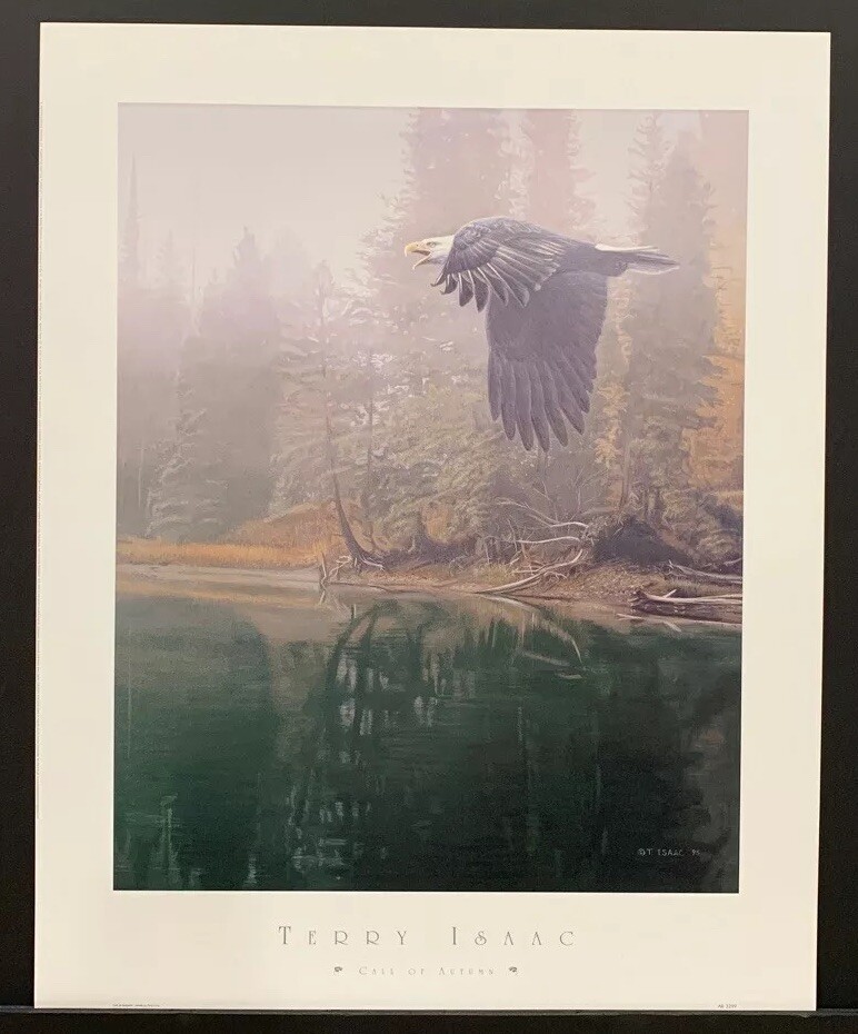 Terry Isaac Art Poster “Call Of Autumn” Bald Eagle 20”x25” | eBay