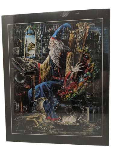 Melody Pena Wizard Colored C-1703 Poster Print 1981 Alberti Design NOS ...