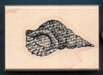 SEASHELL CONCH SPIRAL SHELL SEASHORE NEW Beach Stampin' Up! wood RUBBER ...