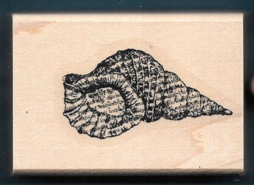 SEASHELL CONCH SPIRAL SHELL SEASHORE NEW Beach Stampin' Up! wood RUBBER ...