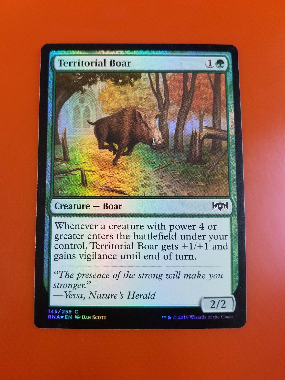 1x Territorial Boar | FOIL | Ravnica Allegiance | MTG Magic Cards | eBay