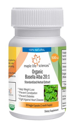 ORGANIC Basella Alba 20:1 Extract Capsules Pure & High Quality | eBay