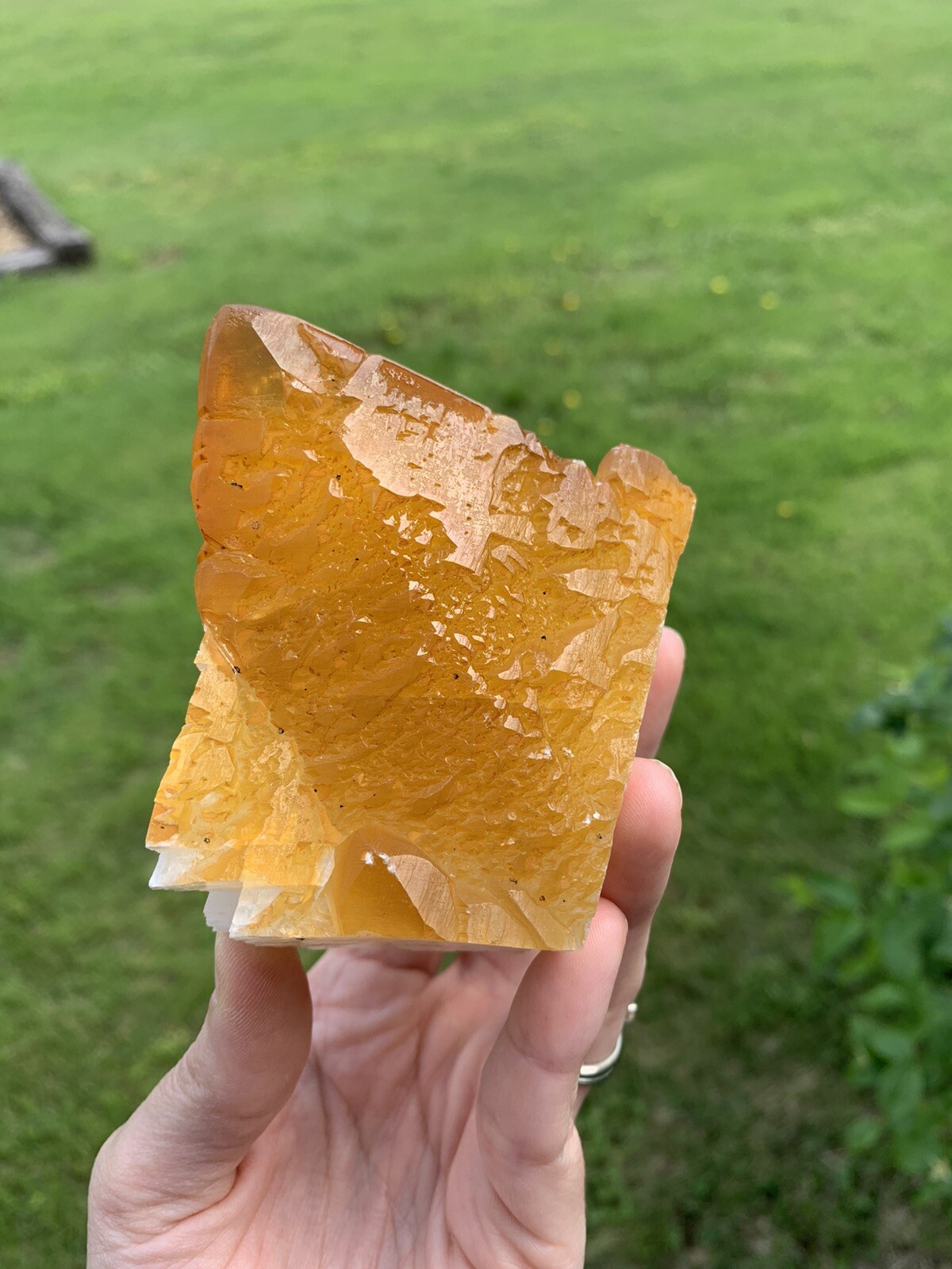 Golden Calcite with Chalcopyrite Inclusions from Black Rock, Arkansas ...