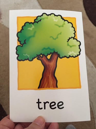 Orchard Toys 019 Flashcard Learning Game for sale online | eBay UK