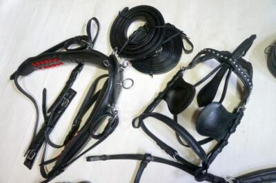 Eco Cob Driving Training Cart Black Leather Harness-Saddle ...