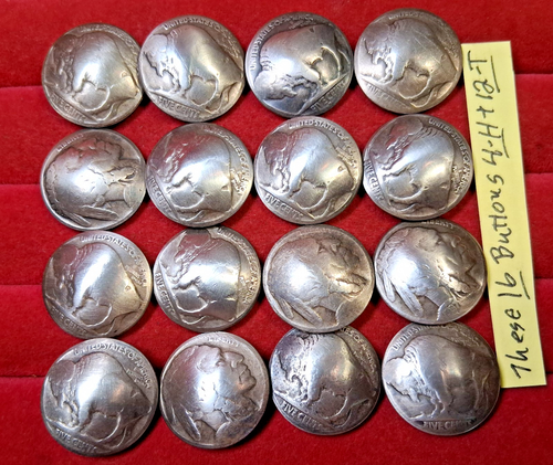 16 Genuine US Buffalo Indian Head Nickel Domed Shank Coin Buttons 3/4 ...