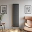 Anthracite Designer Radiator Vertical Horizontal Flat Panel Oval Column ...