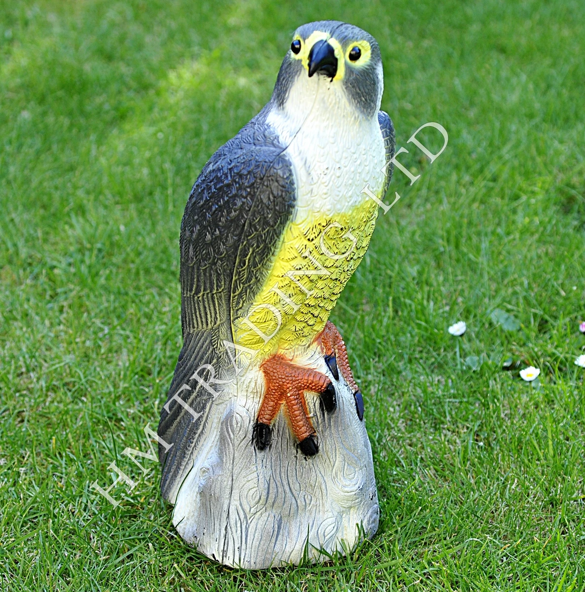 Garden Bird Scarers Uk | Fasci Garden