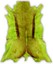 Dyed Springbok Skin Large Top quality antelope skin in assorted dyed ...