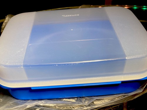 New (NOS) Made In USA Tupperware #2242D Storz-A-Lot Hinged Lid ...