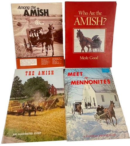 4 AMISH lifestyle book/magazines lot Among the Amish Meet the ...