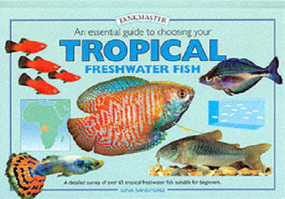 An Essential Guide to Choosing Your Tropical Freshwater Fish ...