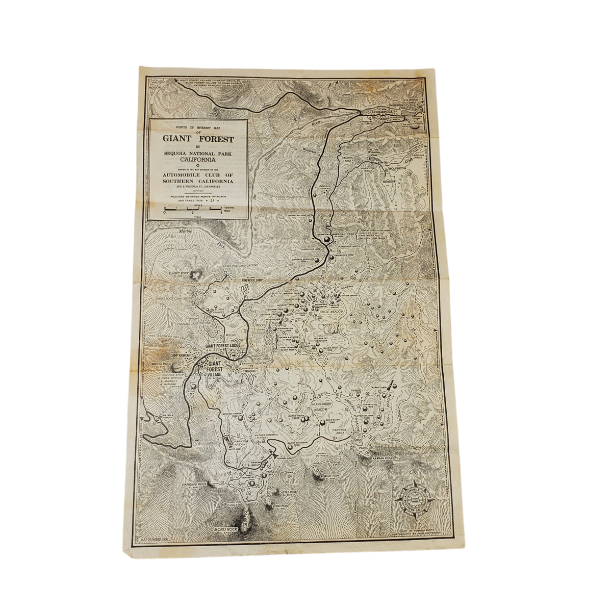 Giant Sequoia National Park Map Map At Sequoia National Park